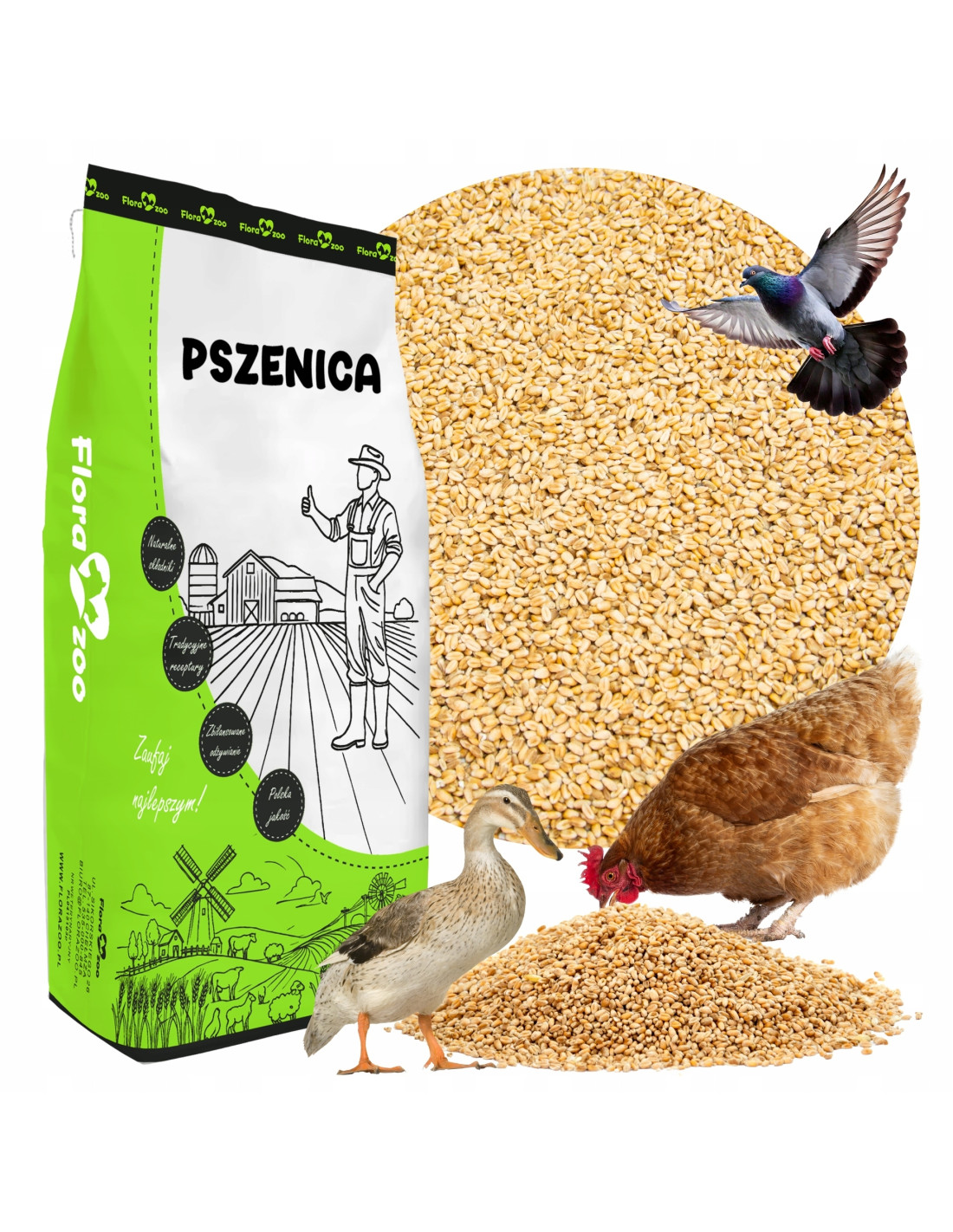 Sklep zoologiczny ECOZOO - atrakcyjne ceny, szybka wysyłka!